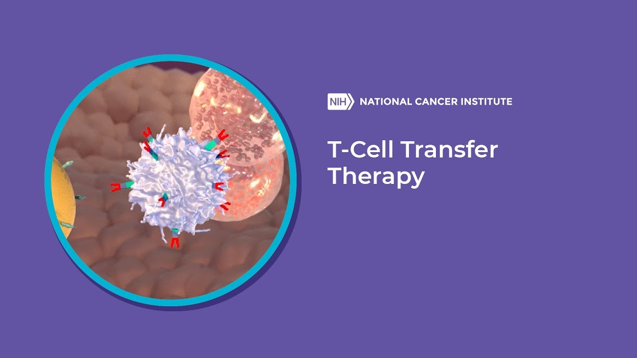 T-Cell Transfer Therapy - YouTube