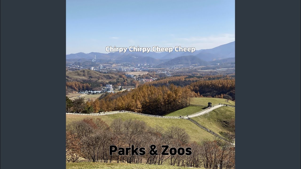 Chirpy Chirpy Cheep Cheep - YouTube