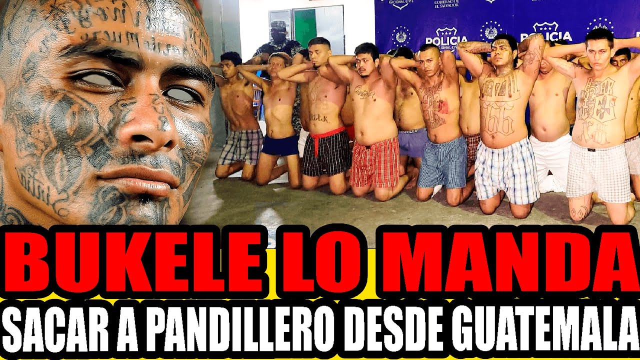BUKELE MANDA A SACAR AL MÁXIMO LÍDER PANDILLERO DESDE GUATEMALA😱 - YouTube