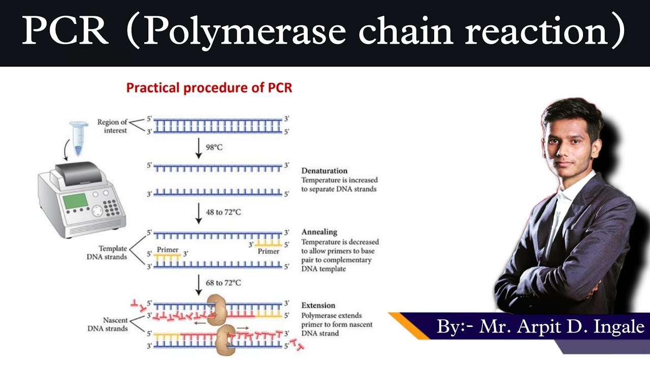 Polymerase chain reaction | PCR in hindi | procedure and applications ...