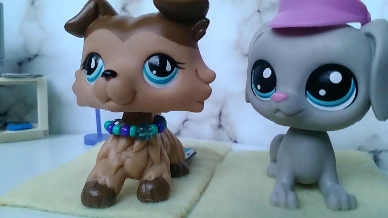 LPS- Sleepover Part! - YouTube