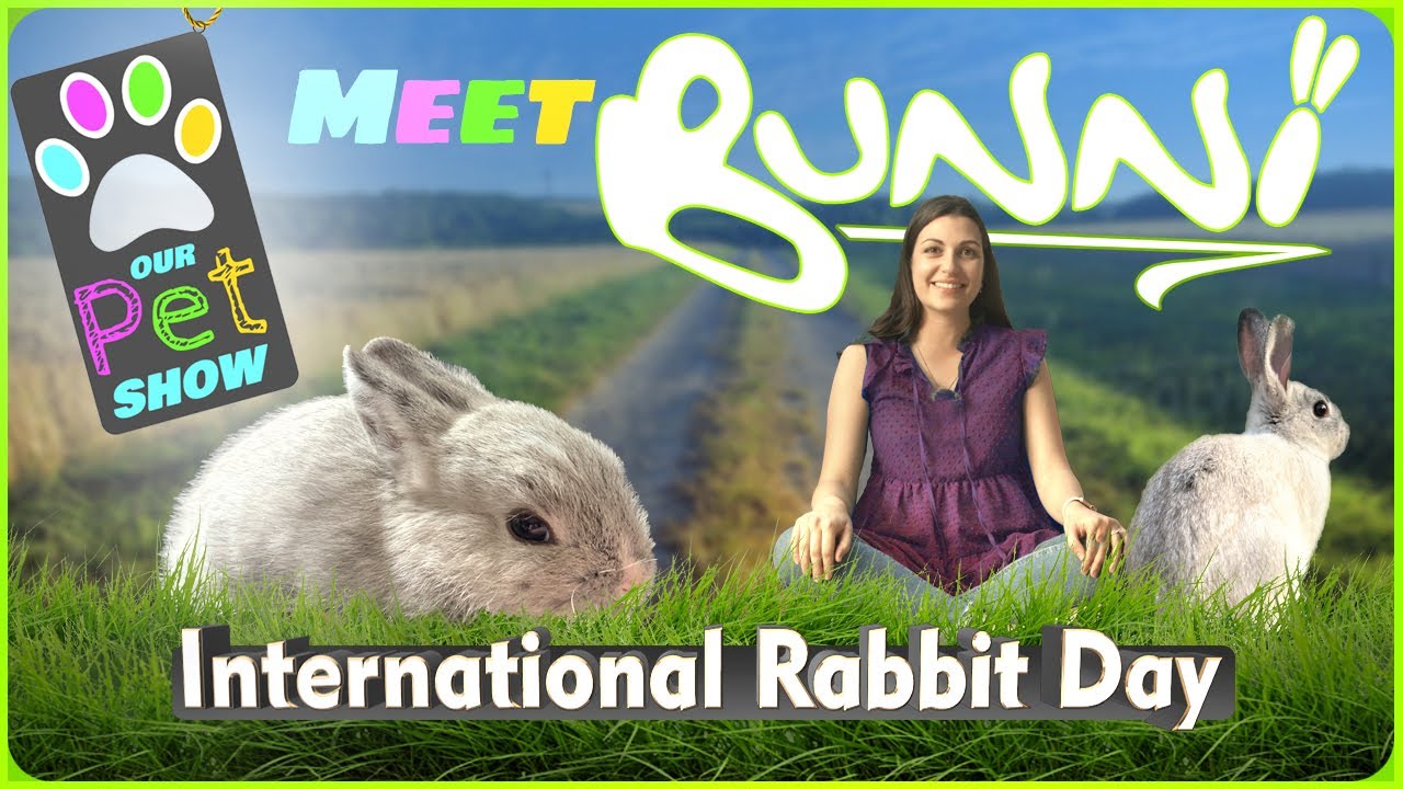 International Rabbits Day - This is Bunny! - YouTube