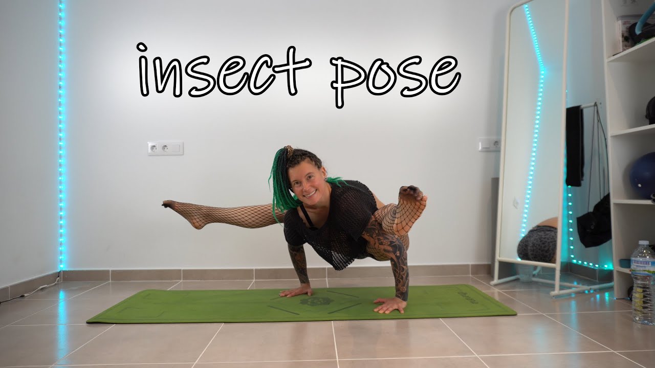 SHORT CLIPS: insect pose - YouTube