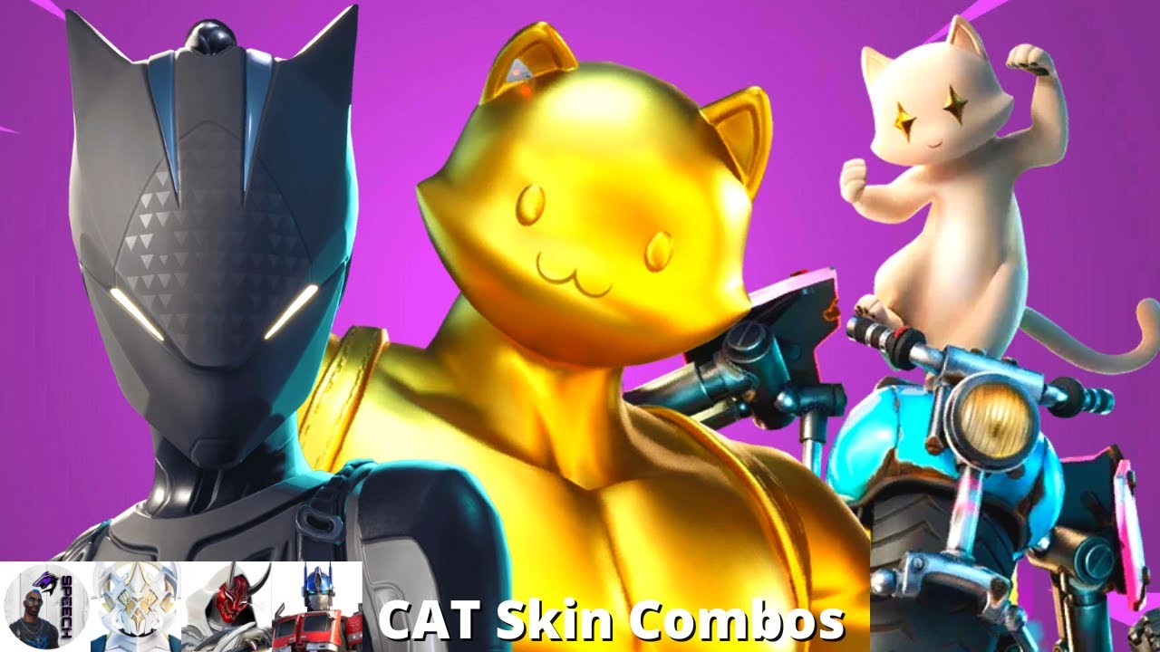 CAT Skin Combos (Fortnite Battle Royale) - YouTube