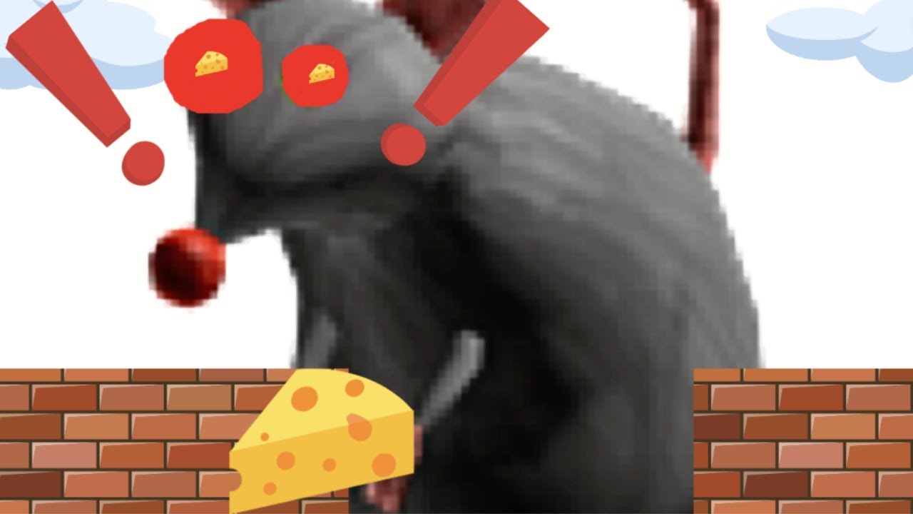 Finding CHEESE!!! - YouTube