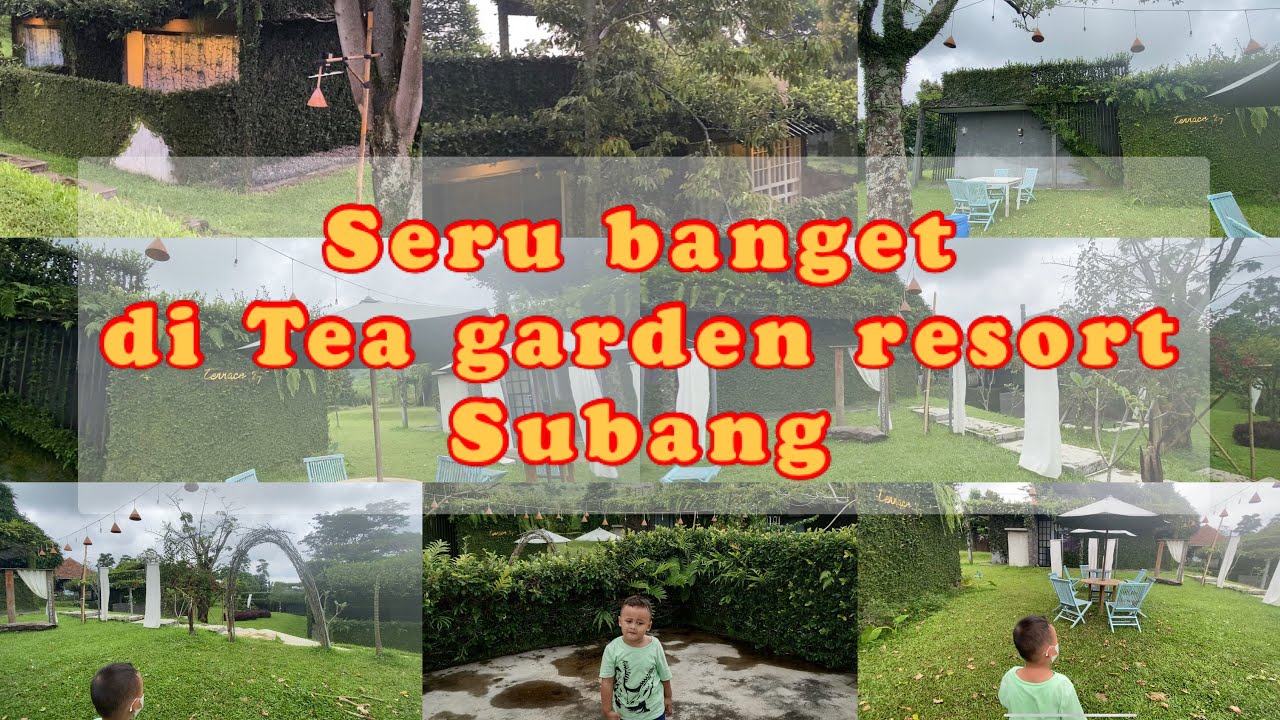 Nginep di Tea Garden Resort, Subang - YouTube