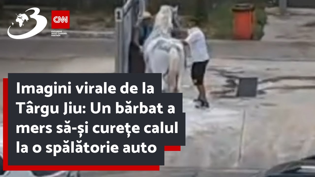 Imagini virale de la Târgu Jiu: Un bărbat a mers să-și curețe calul la ...