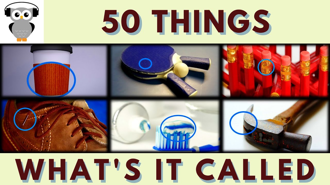 What's It Called Quiz Trivia | 50 Things | Name These Things | Do You ...