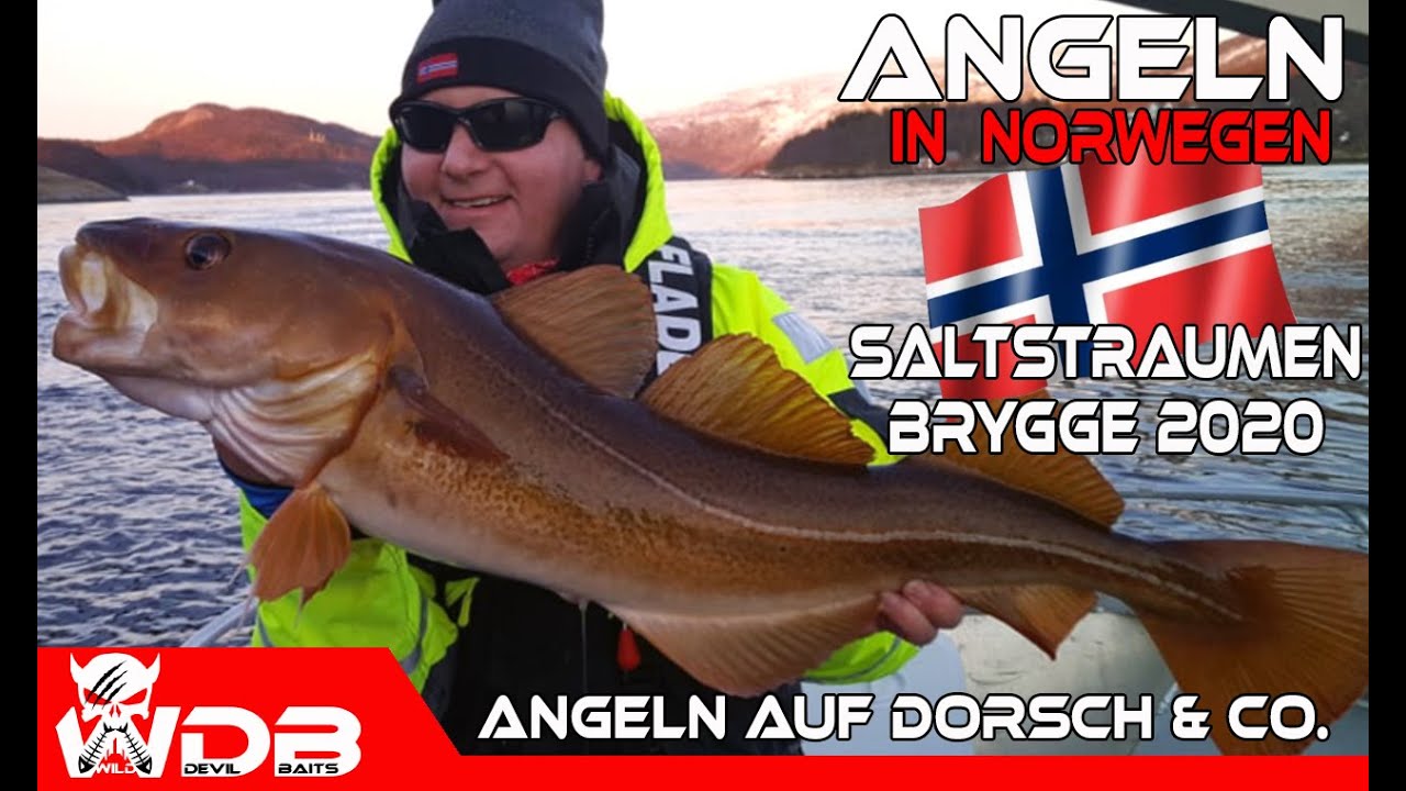 Angeln in Norwegen 2020 Saltstraumen Brygge Fishing Angel Berger Wild ...