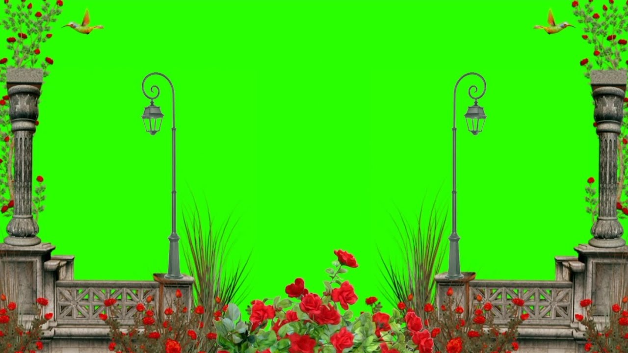 Green Screen Beautiful Garden Background HD Video / Green Screen Bird ...