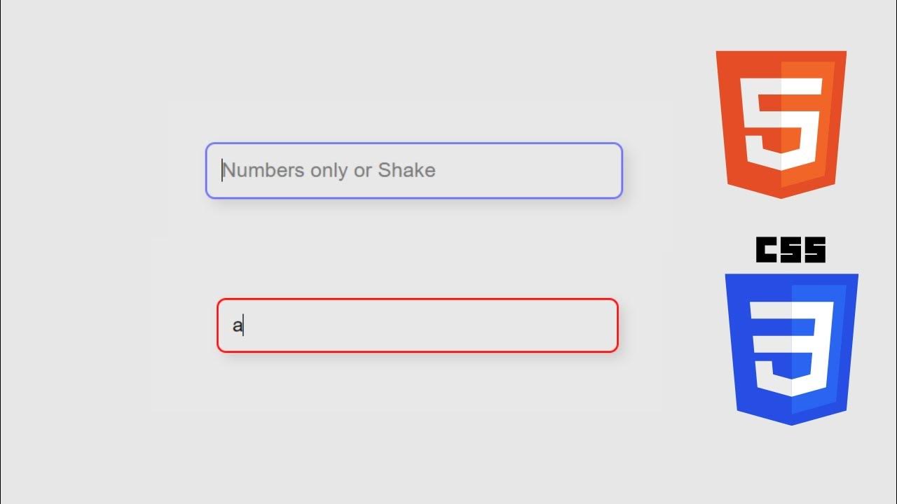 Shake Input While User Enter The Invalid Input Using Html And Css Youtube 4624