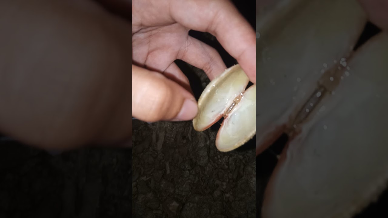 Ivuhos Island at night - YouTube