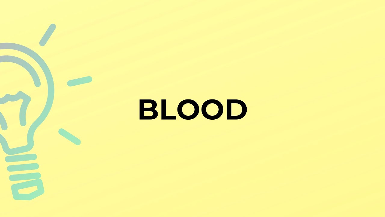 What Is The Meaning Of The Word BLOOD YouTube what-is-the-meaning-of-the-word-blood-youtube