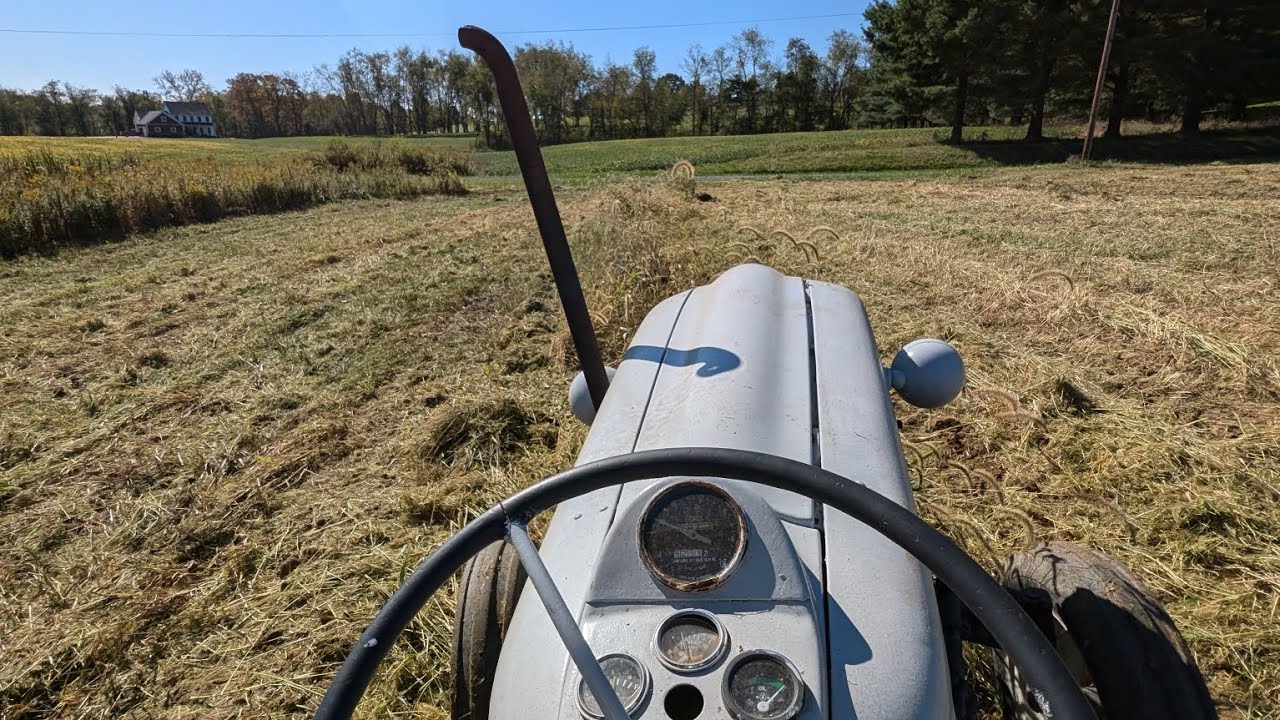 Field Clean Up With The Ford 4000 SOS - YouTube