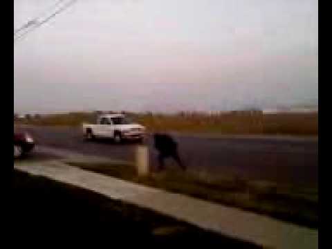 Invisible Rope Trick 1 - YouTube