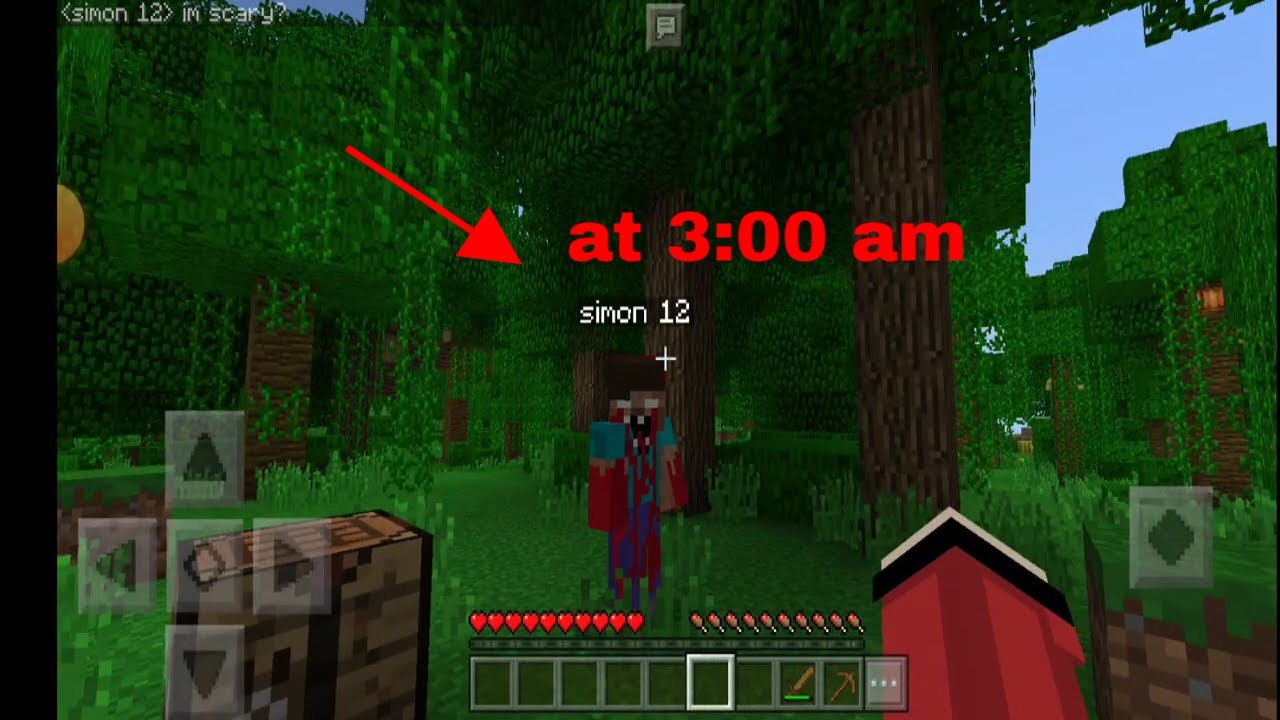 I found friendly simon 12 in minecraft watch to the end shocking at 3: ...