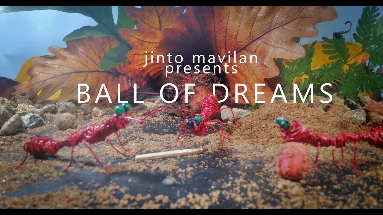 BALL OF DREAMS | INDIAN STOP MOTION ANIMATION - YouTube