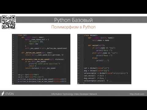 Python 3 8 6 Базовый Полиморфизм - YouTube