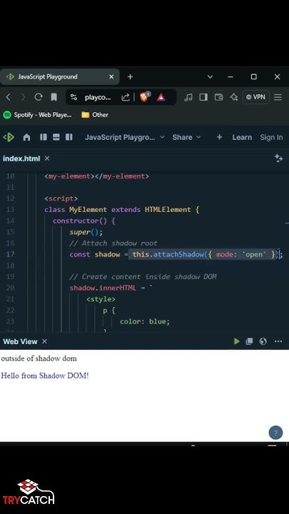 Day 53: Understanding Shadow DOM in JavaScript #JavaScript # ...