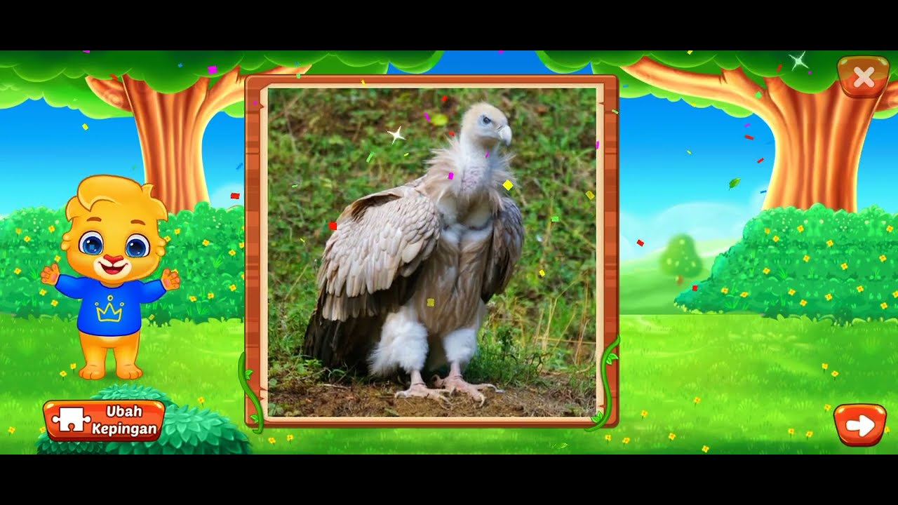 Burung Pemakan Bangkai atau Burung Hering atau Burung Nasar || Lucas ...