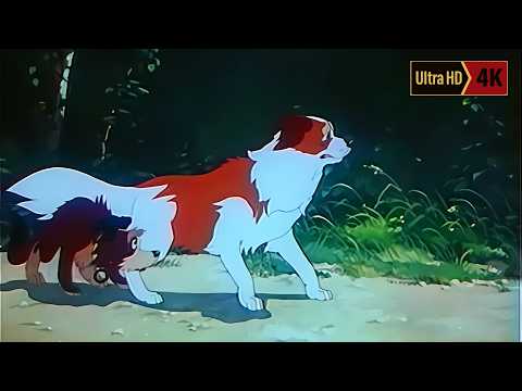 Полкан и шавка (1949) — советский мультфильм [4K] | #Союзмультфильм #МультфильмыСССР #ремастеринг