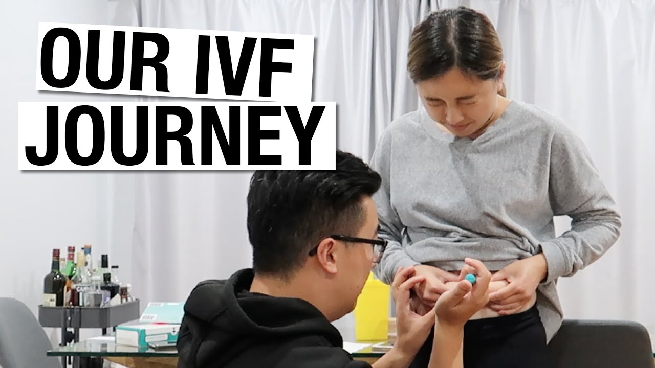OUR ENTIRE IVF JOURNEY: Success after 2 cycles + 3 transfers (Australia ...