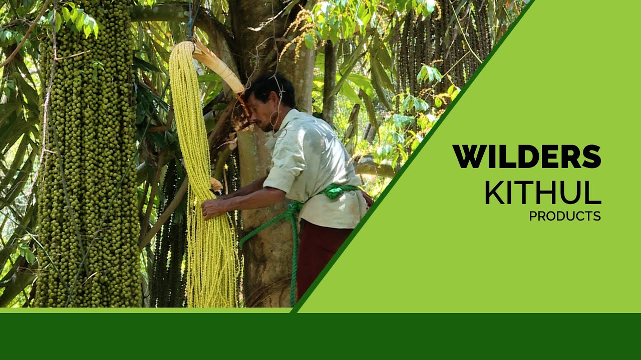 Wilder's Organic Kithul Treacle - YouTube