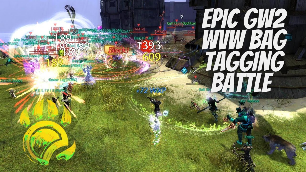 Soulbeast Solo Ranger Takes on the World in Epic GW2 WvW Zerg Bag ...