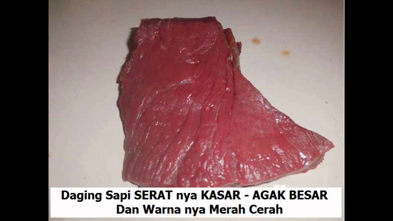 Tips Trik Penting Membedakan Daging Sapi Vs Daging Babi Celeng - YouTube