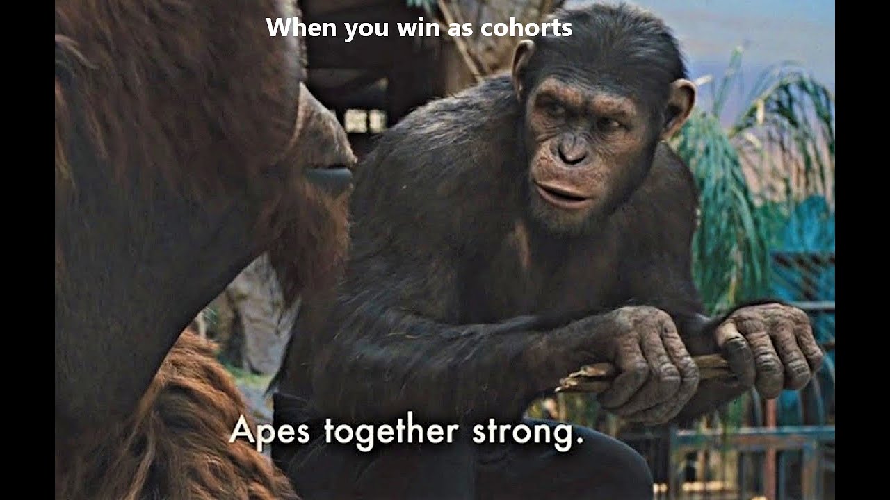 Imagine getting annihilated by cohorts - YouTube