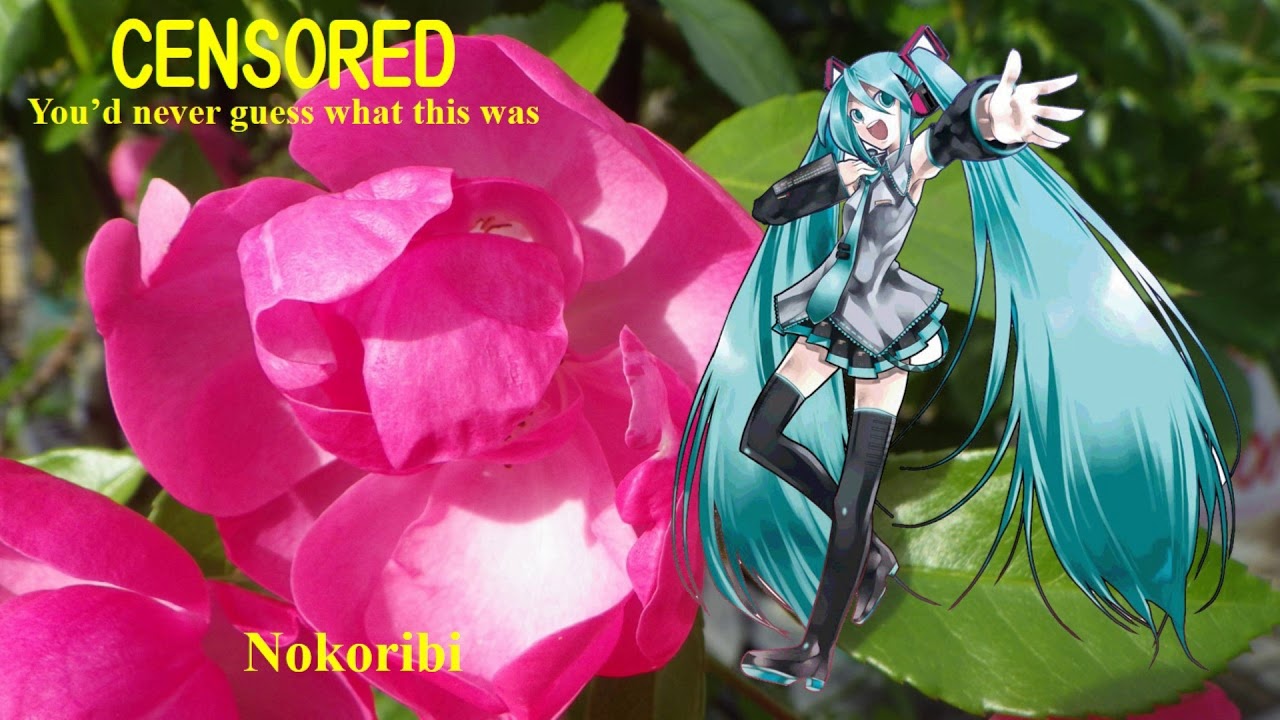 【Hatsune Miku】残火（松任谷由実） 2016；Nokoribi (Yumi Matsutoya)【Vocaloid 5】初音ミク ...