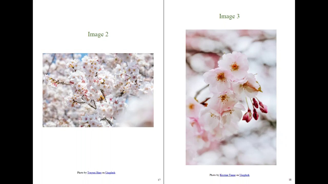 Sight and Sounds of SPRING - YouTube