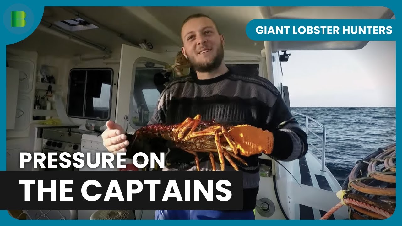 Winter Lobster Season Heats Up | Giant Lobster Hunters | Documentary ...