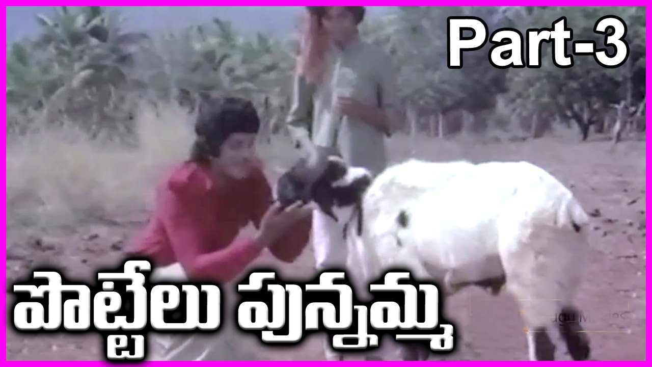 POTTELU PUNNAMMA - Telugu Full Movie - Part-3- Murali Mohan, Sri Priya ...
