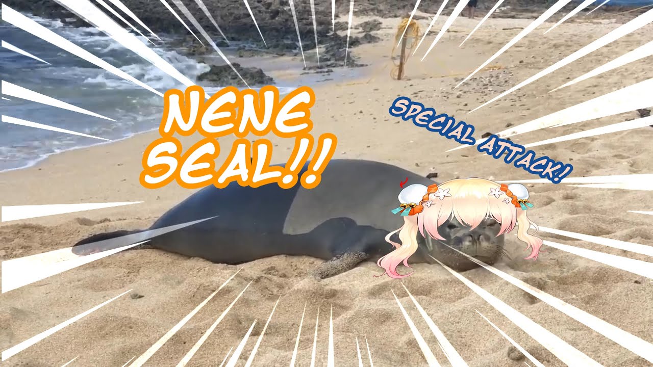 【Vtuber廢片】Nene Seal releases gas of Happiness【hololive【桃鈴ねね ...