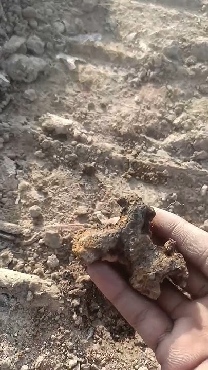 I found gold🎁💰🪙 Metaldetector#shorts #shortsfeed #tricks #tips # ... I found gold🎁💰🪙 Metaldetector#shorts #shortsfeed #tricks #tips # ...