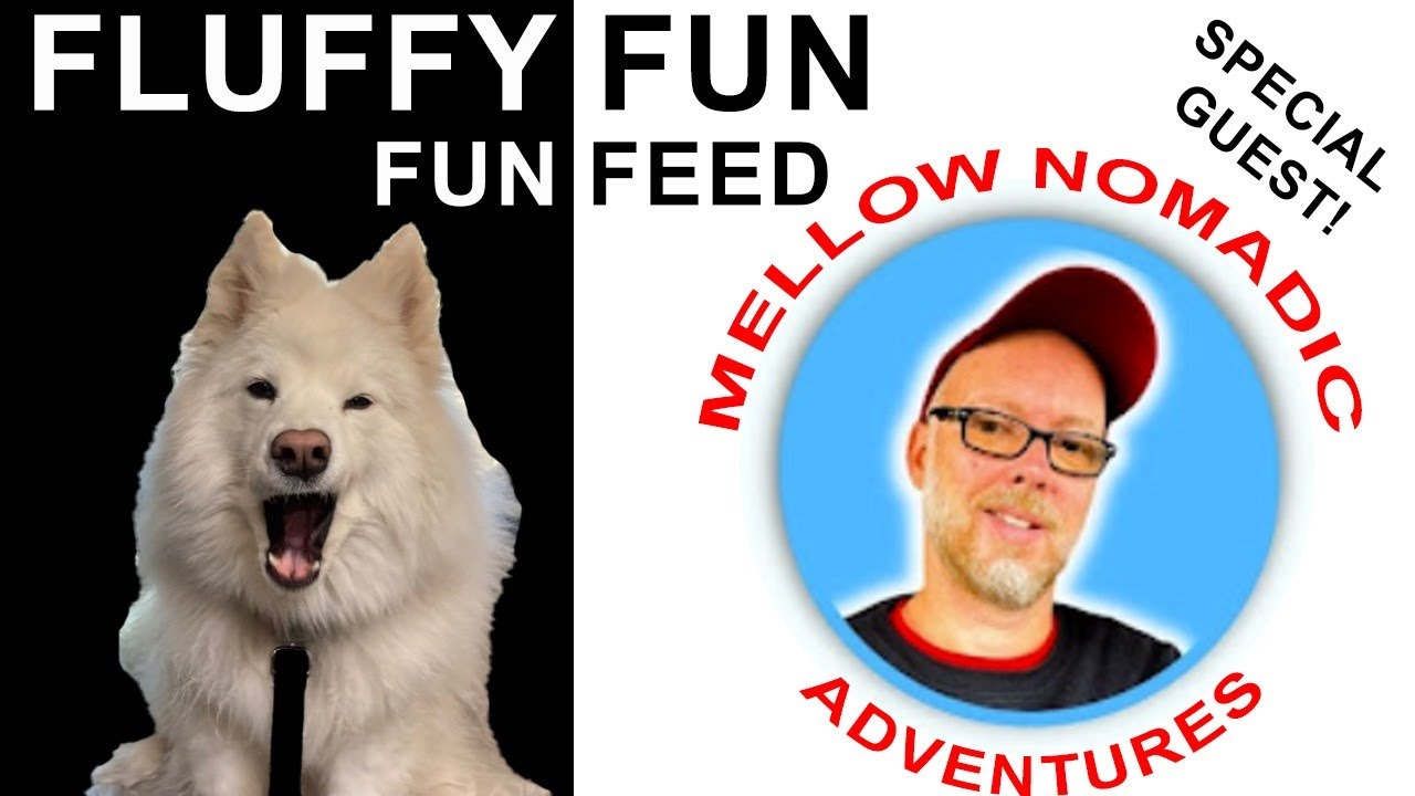 Live Special Guest: Mellow Nomadic Adventures - Fluffy Fun Fun Feed ...
