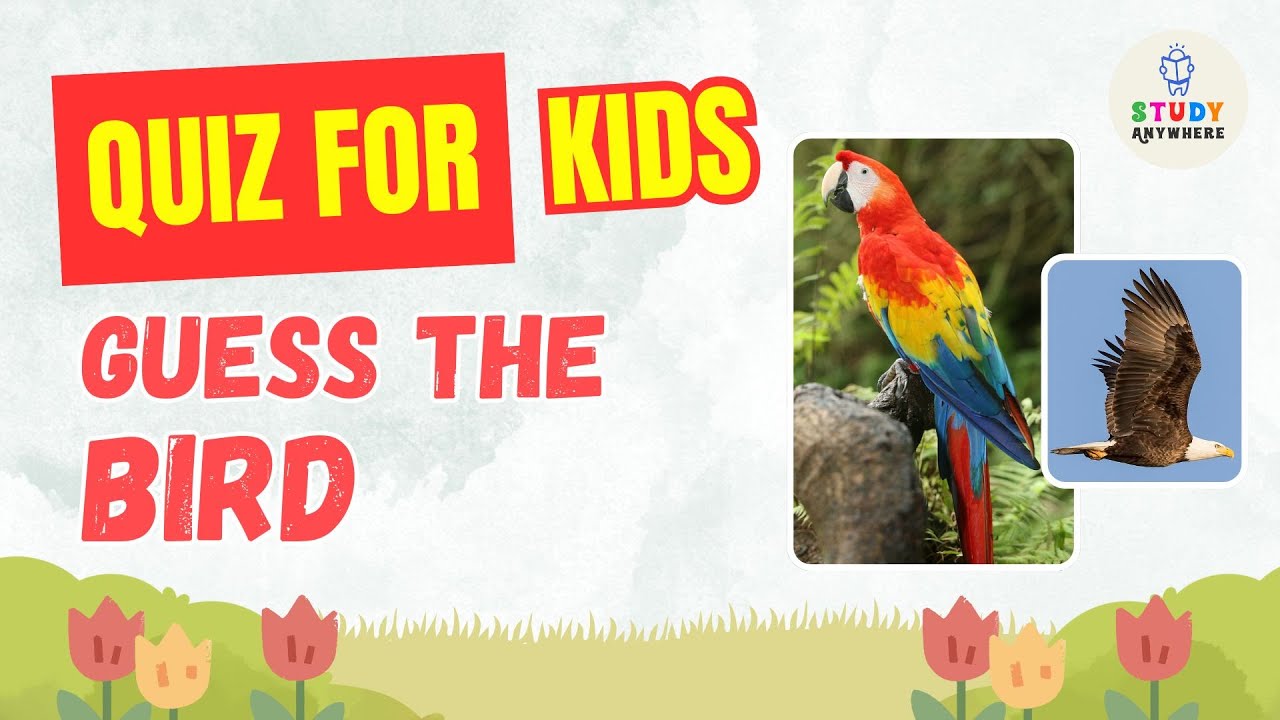 Guess the Bird! Fun Quiz for Kids 🐦 | Learn Bird Names with Pictures ...