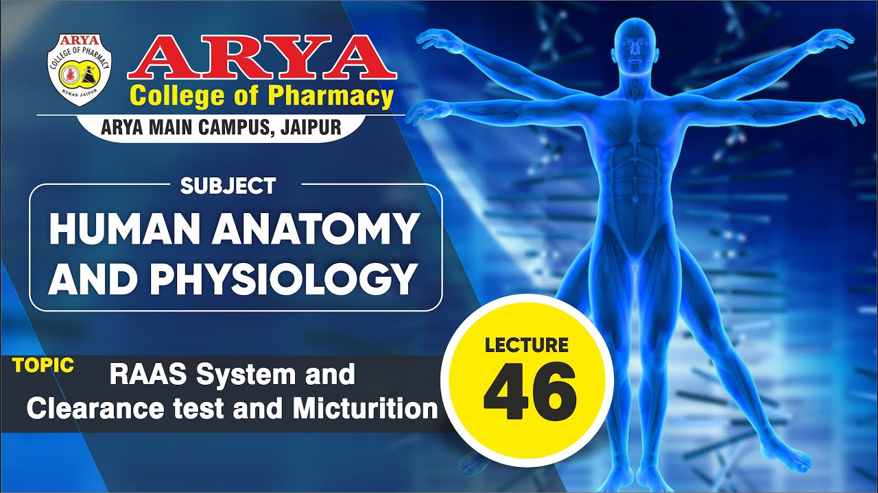 Lecture-46 | RAAS System and Clearance Test and Micturition - YouTube