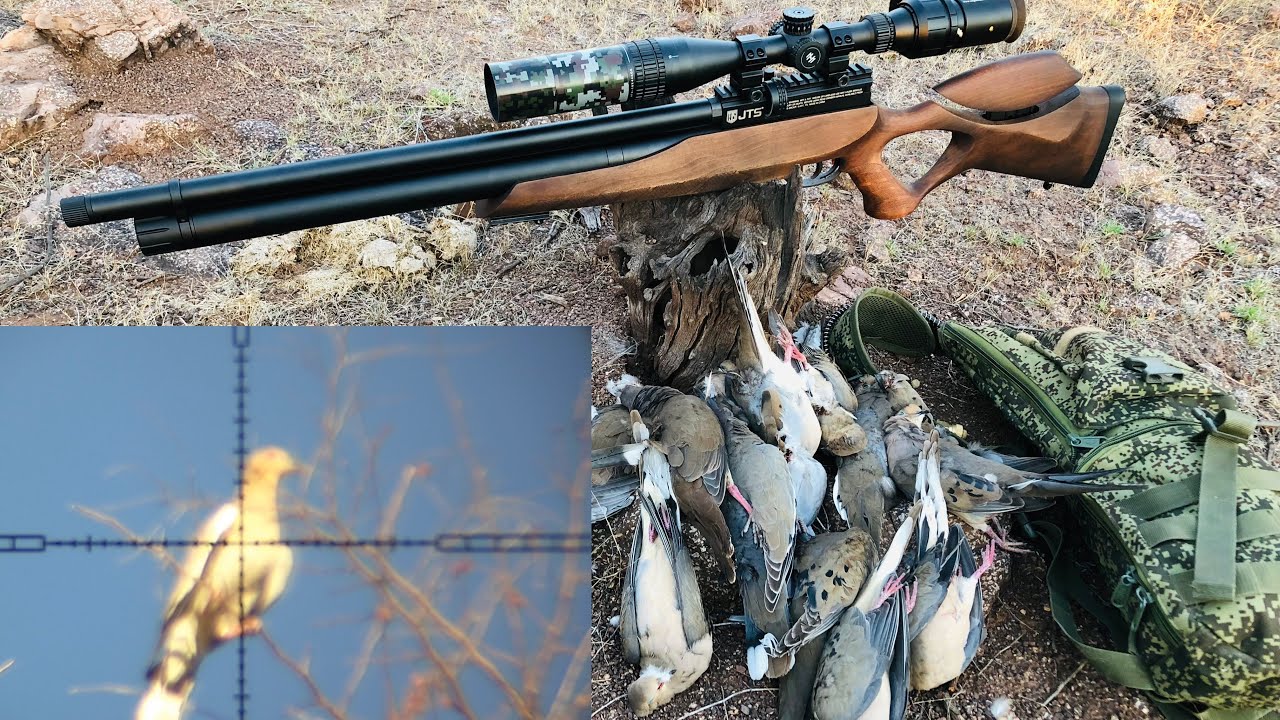 Cacerías de Wilotas con el airacuda max.25 pcp - YouTube