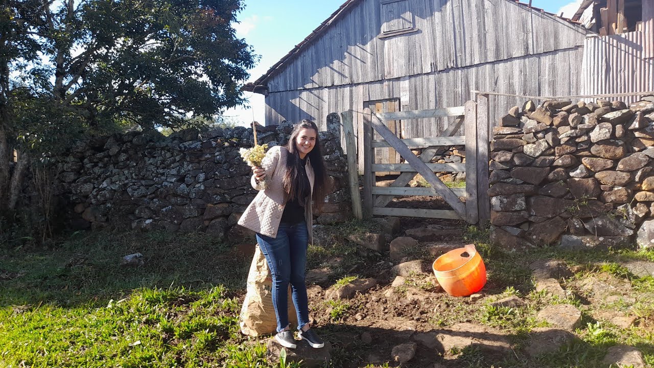 FAZENDA DO JJ88 FAZENDA CAPÃO BONITO UMA RELÍQUIA - YouTube