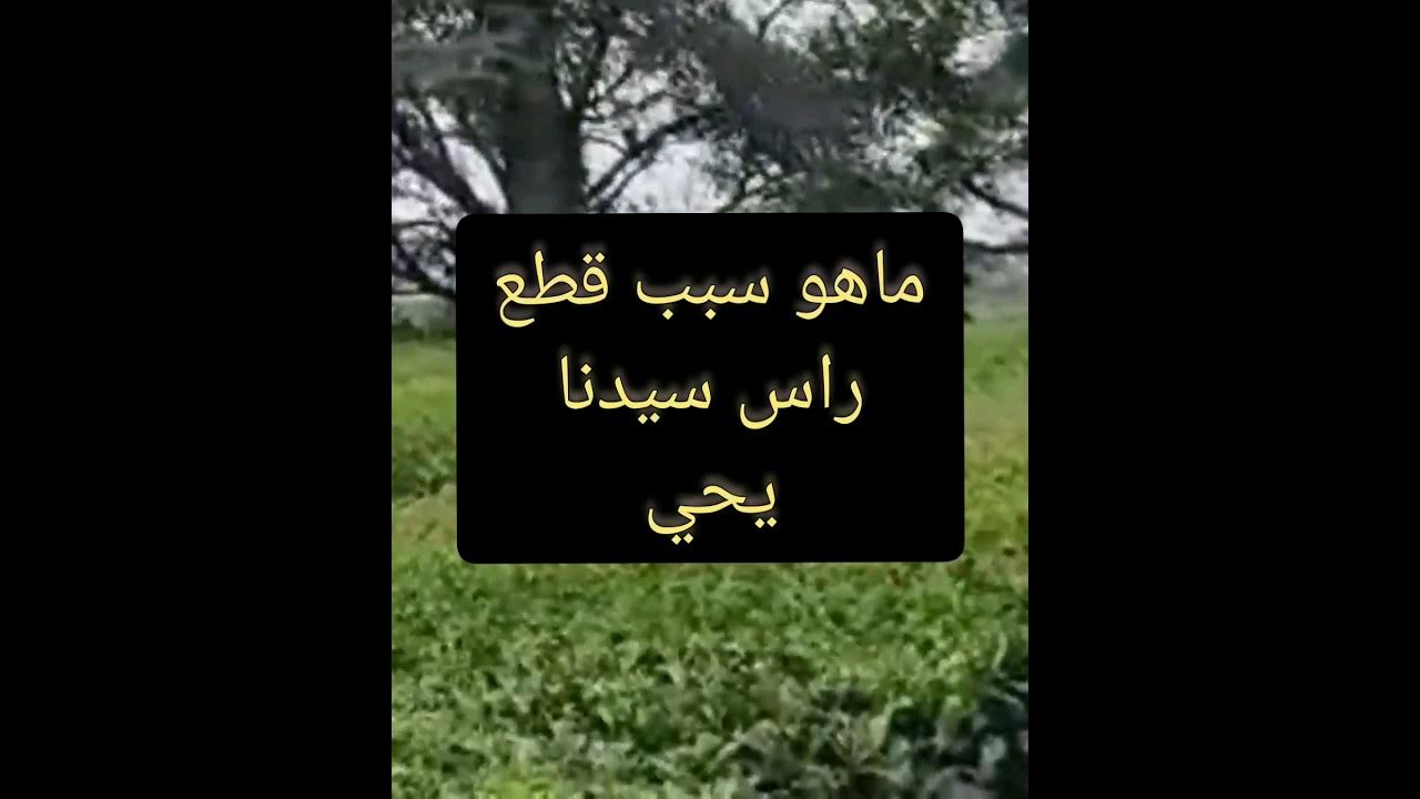 ماهو سبب قطع راس سيدنا يحي؟ #سبب #قطع #قطعه #قطعة #سيدنا #يحيى #راس # ...