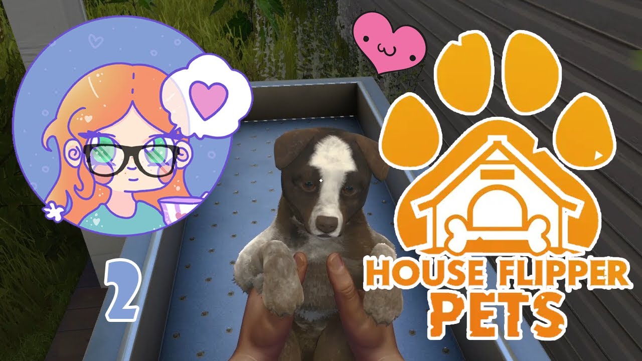 House Flipper. Pets DLC. PART 2. Messy PUP - YouTube