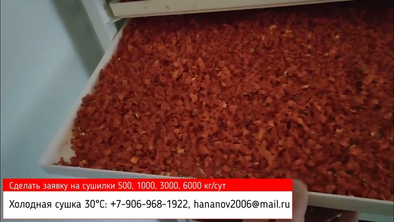 Оборудование для сушки яблок и груш. Сушилка для фруктов промышленная ...