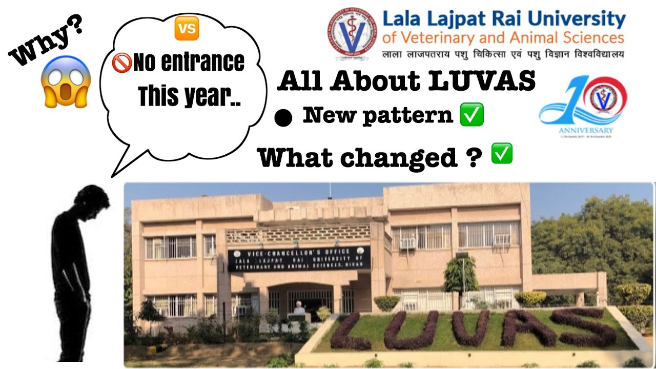 Luvas Hisar Admission 2020, Bvsc, Vlda. - YouTube