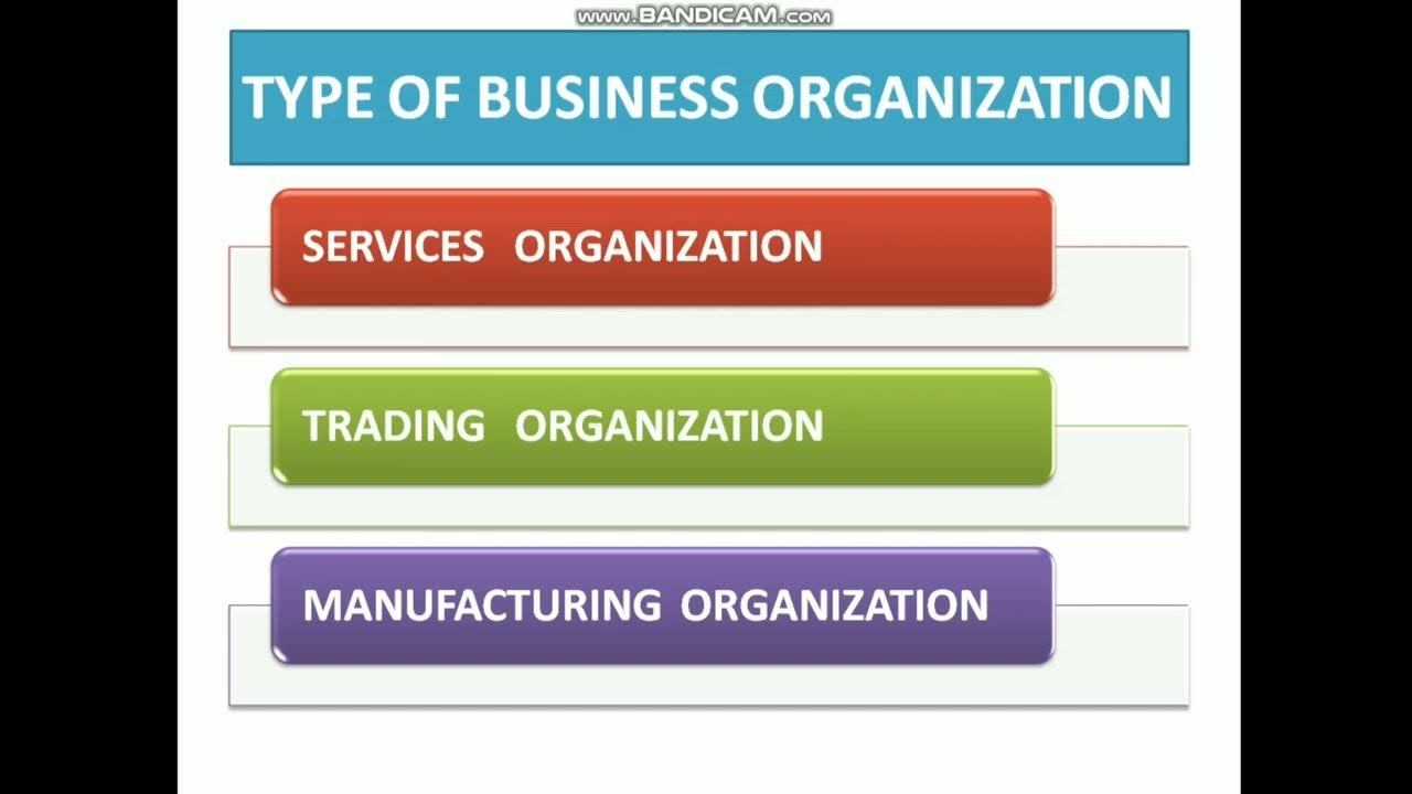 LECTURE : 7 INTRODUCTION TO BUSINESS ORGANIZATION GUJARATI , ACCOUNTANT - YouTube