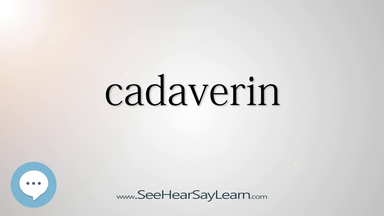 cadaverin - YouTube