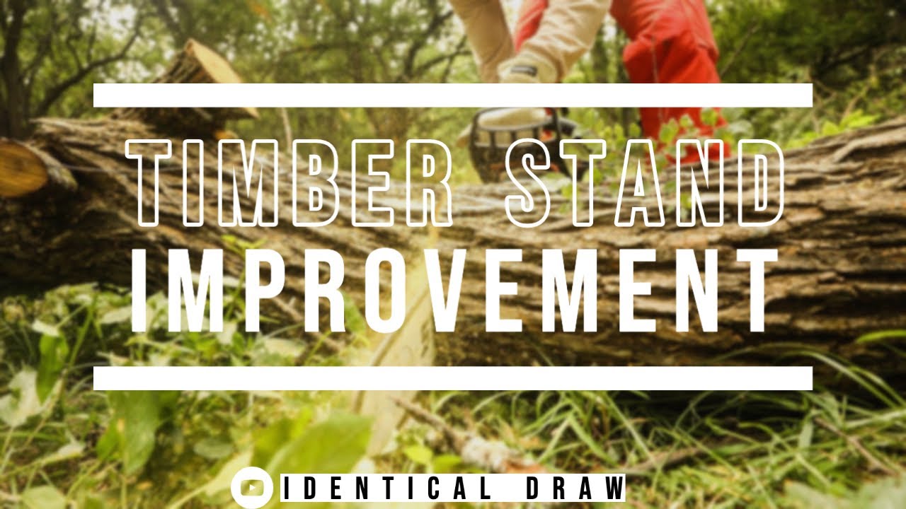 Timber Stand Improvement- for deer hunters. - YouTube