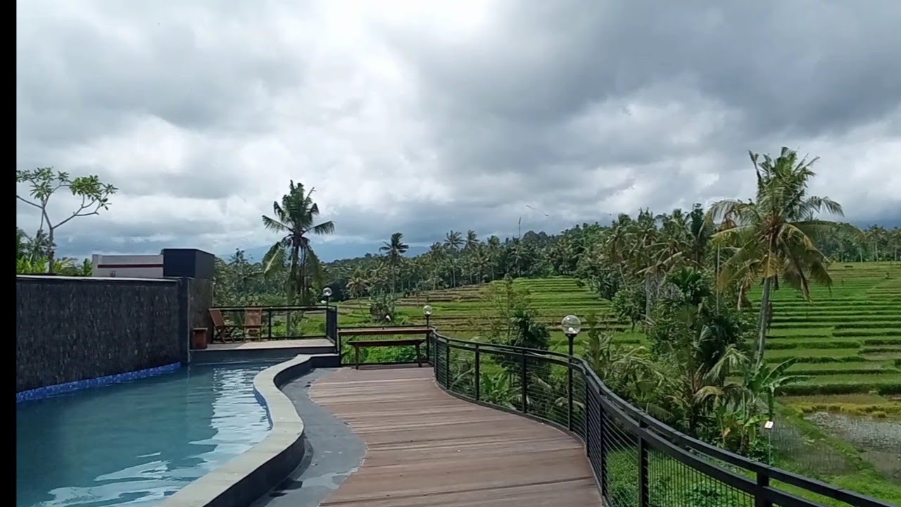 Osing Wonderland Kopi Bukit Banyuwangi - YouTube