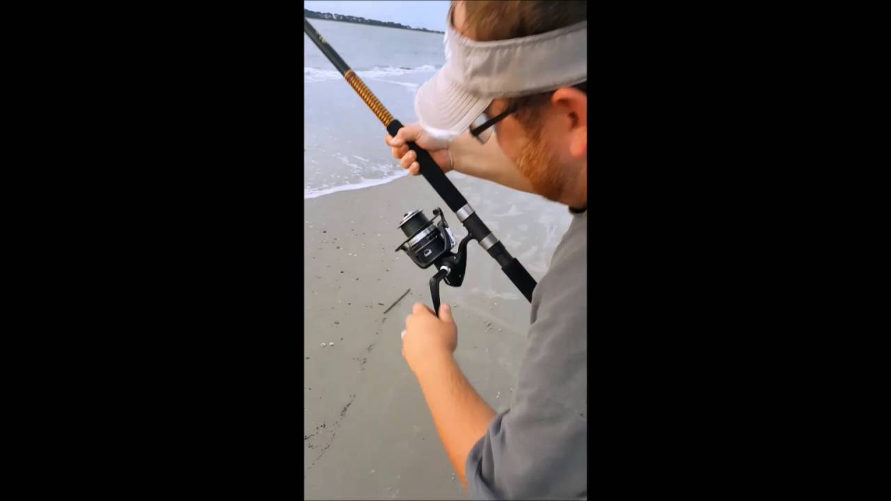 Tiger Shark on Spinning Tackle - YouTube